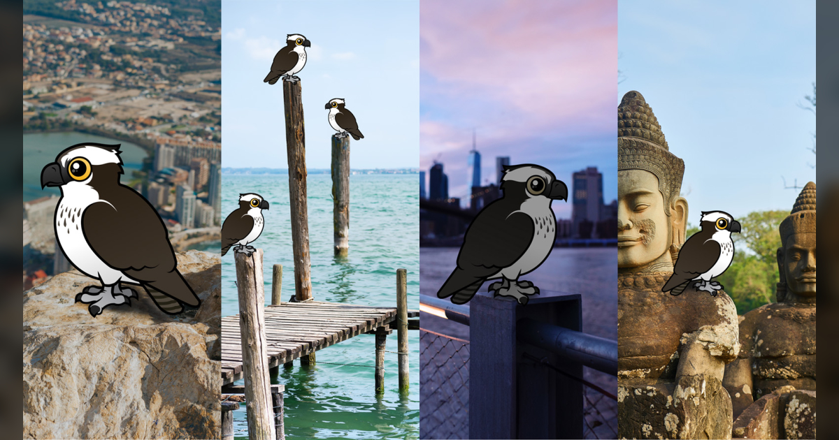 Exploring the Meaning of "Cosmopolitan" in the Avian World