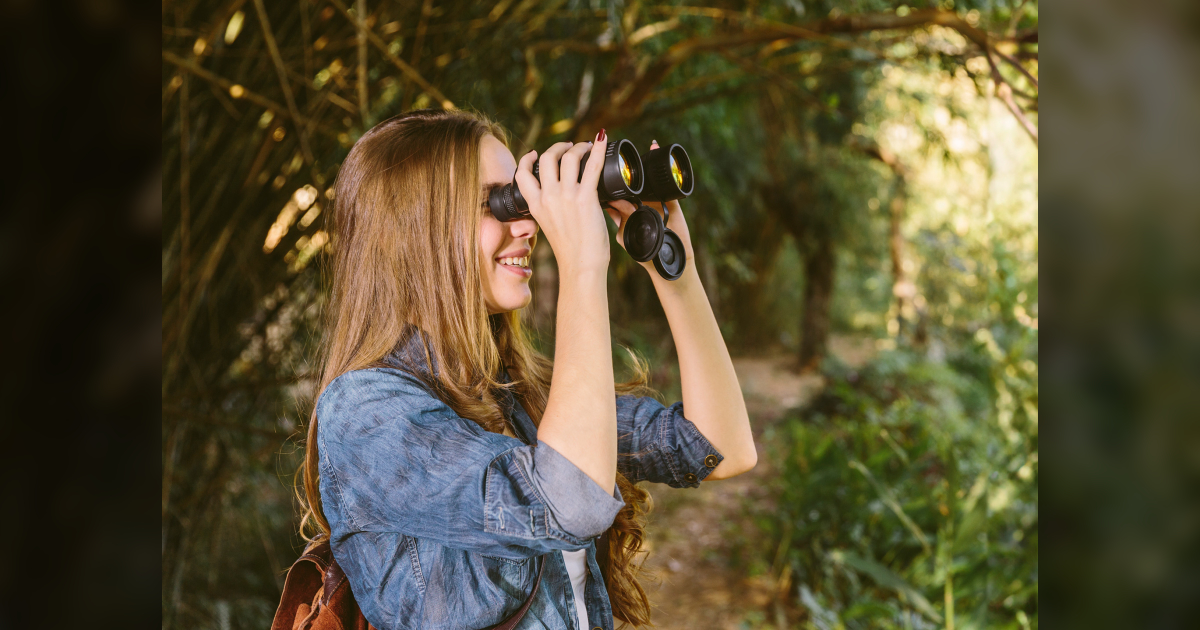 Great Backyard Bird Count: Join the Global Birdwatching Event