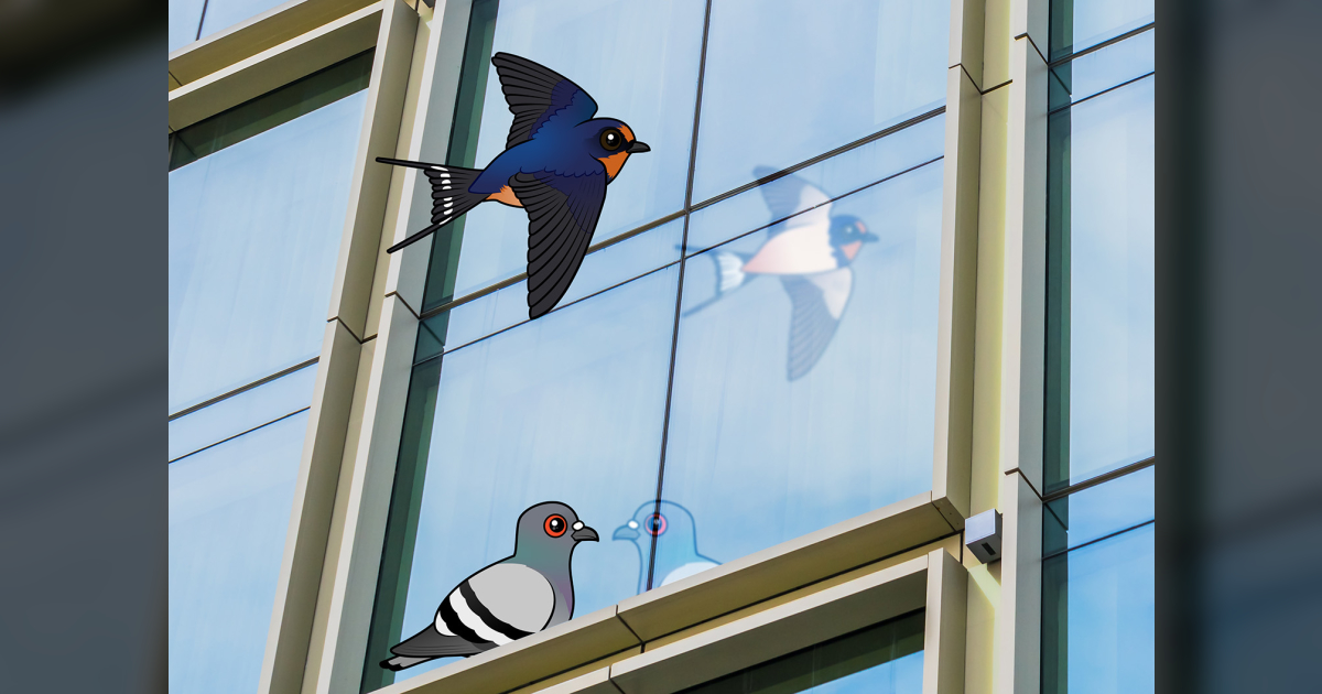 Designing with Birds in Mind: Solutions for Safer Glass Structures