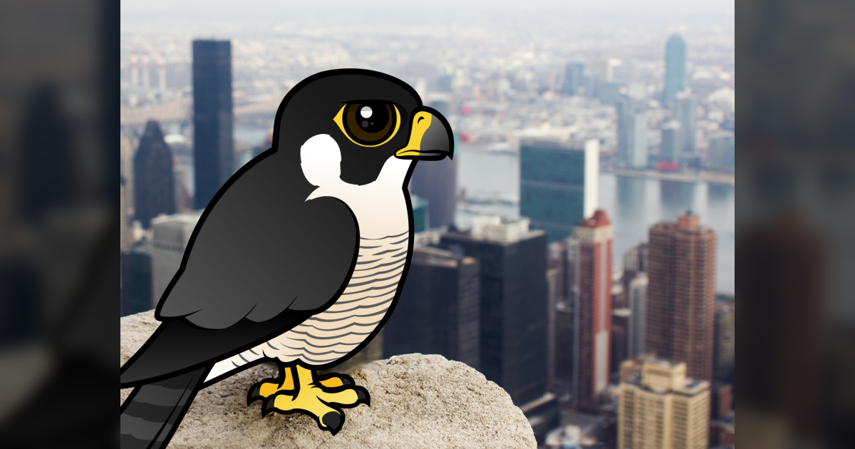 Urban Jungles: How Birds Thrive in City Settings