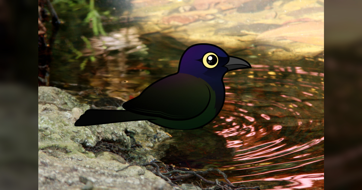 Fascinating Facts About Grackles: Nature’s Clever Opportunists