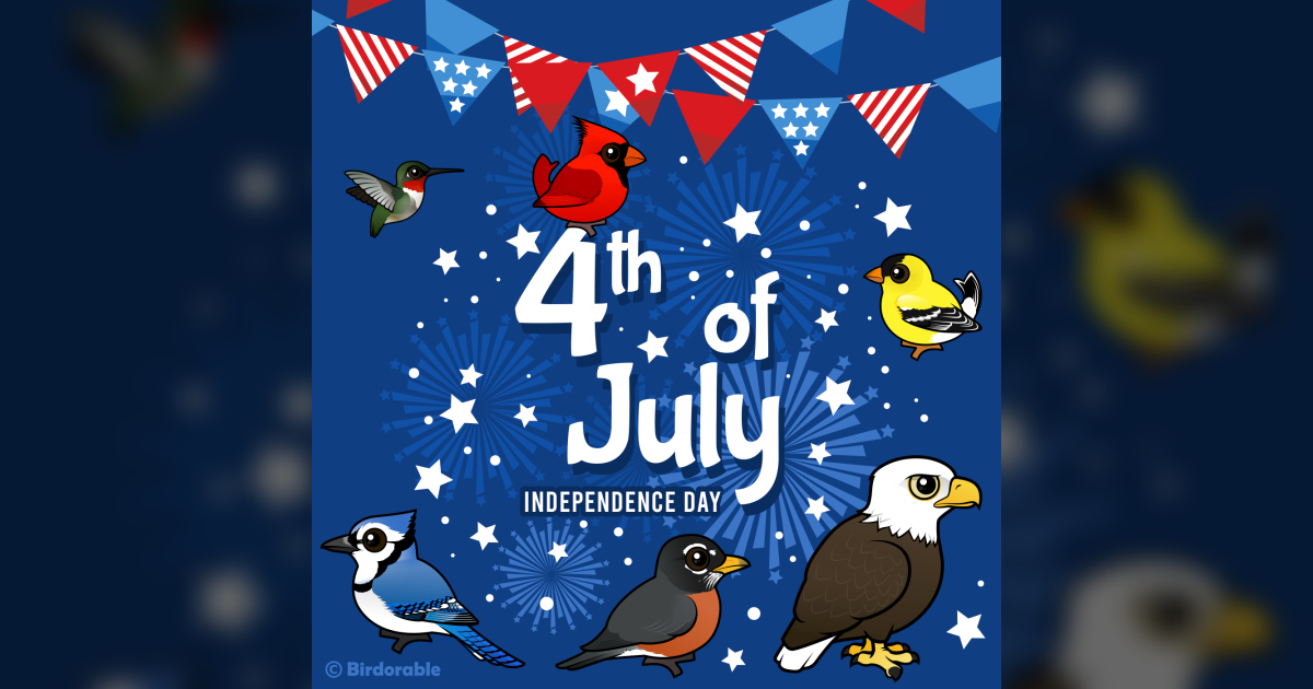 Celebrating 4th of July with Birdorable! | Celebrate Responsibly