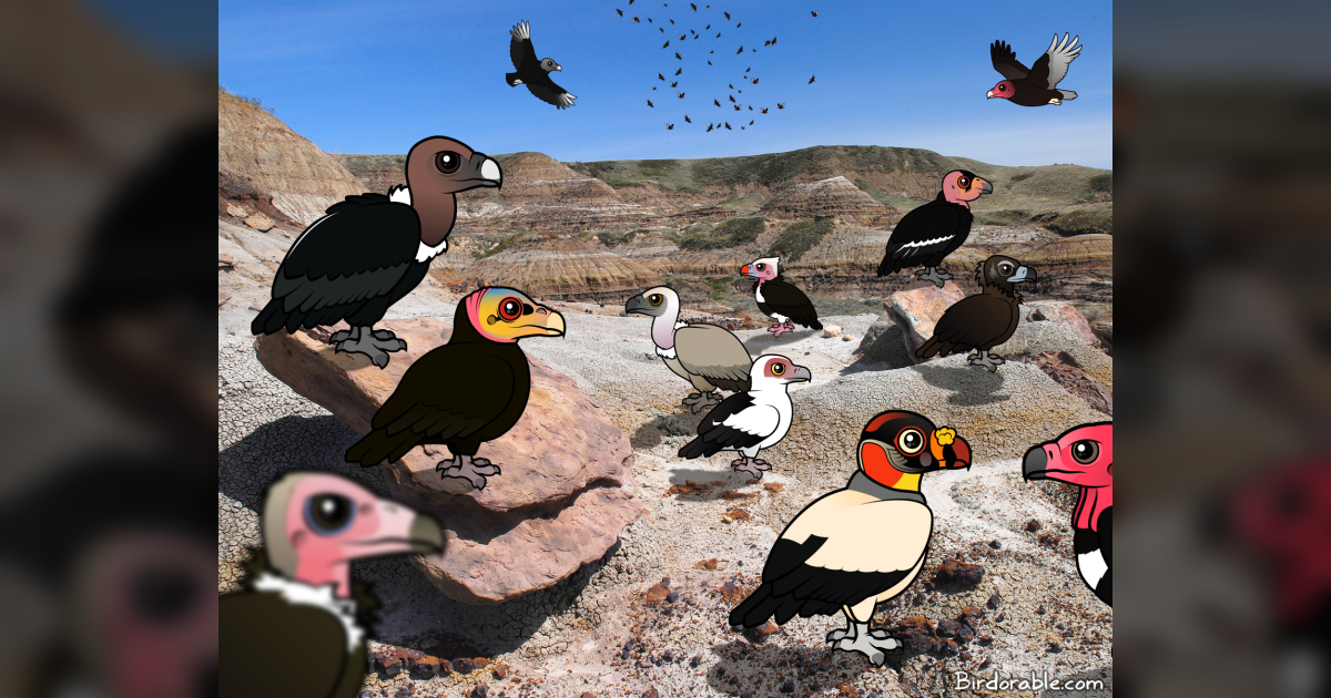 Introduction to Vulture Week 2024 | Birdorable Blog