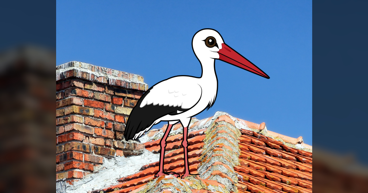 Busting a Bird Myth: Storks Deliver Babies