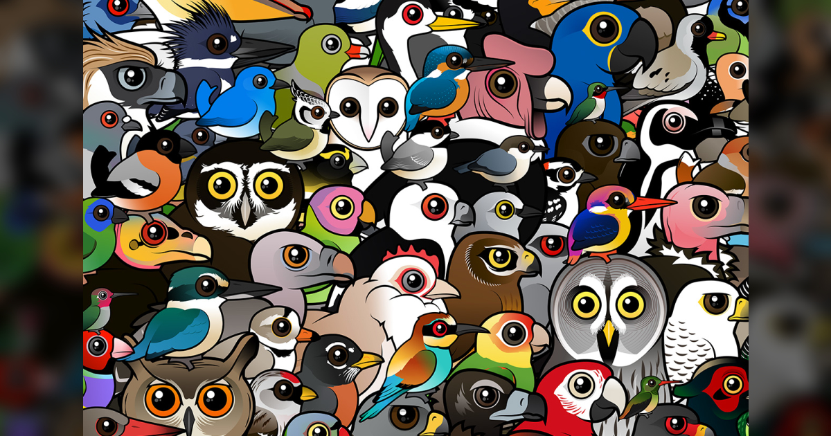 How Many Bird Species Are There? It’s More Than You Think!