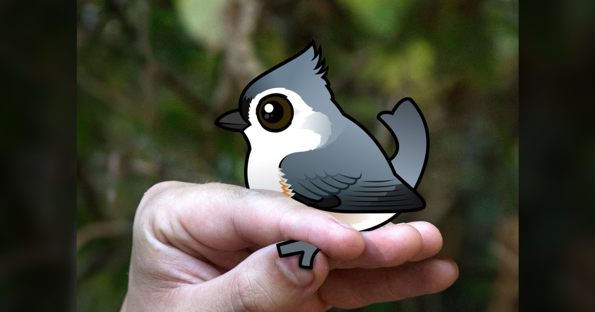 Bird Banding: Tracking Birds for Science and Conservation