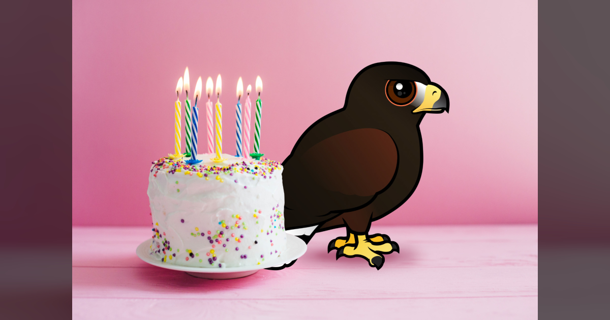 How Old Would You Be in Bird Years? Bird Ages vs. Human Ages