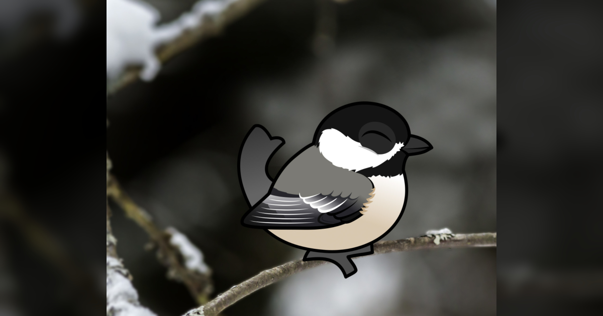 How Birds Survive Winter: Torpor, Hibernation, and Migration