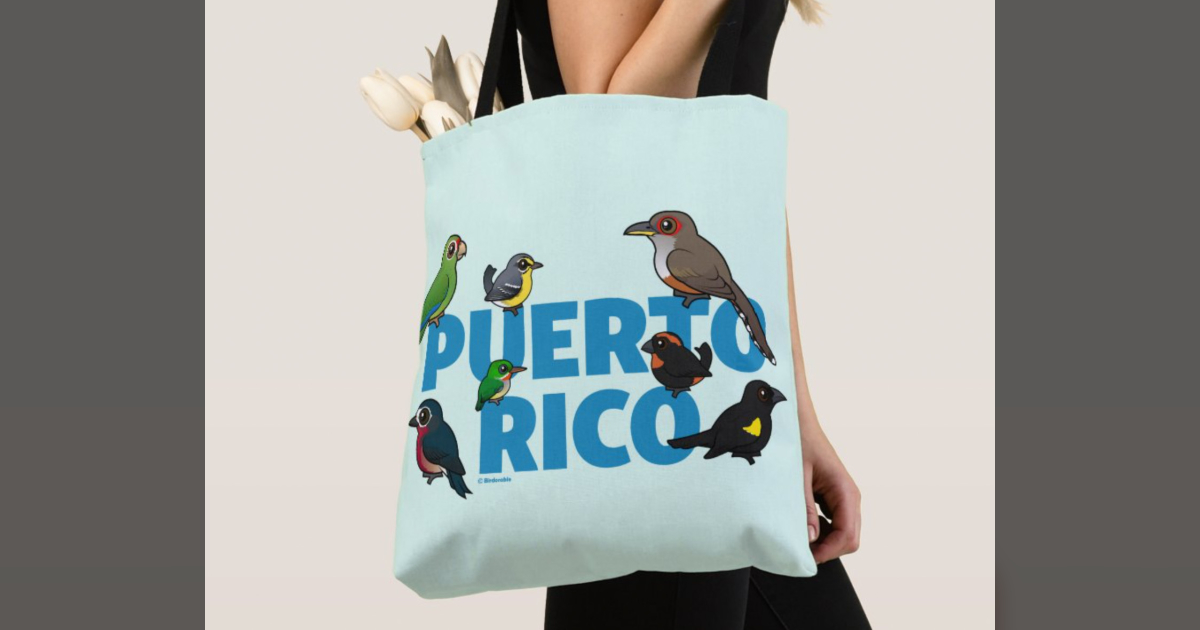 Design Spotlight: Birdorable Puerto Rico Birds