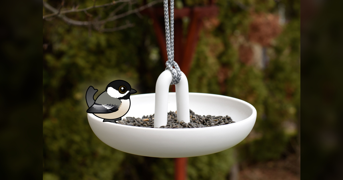 Summer Bird Feeding Tips and Safety Reminders