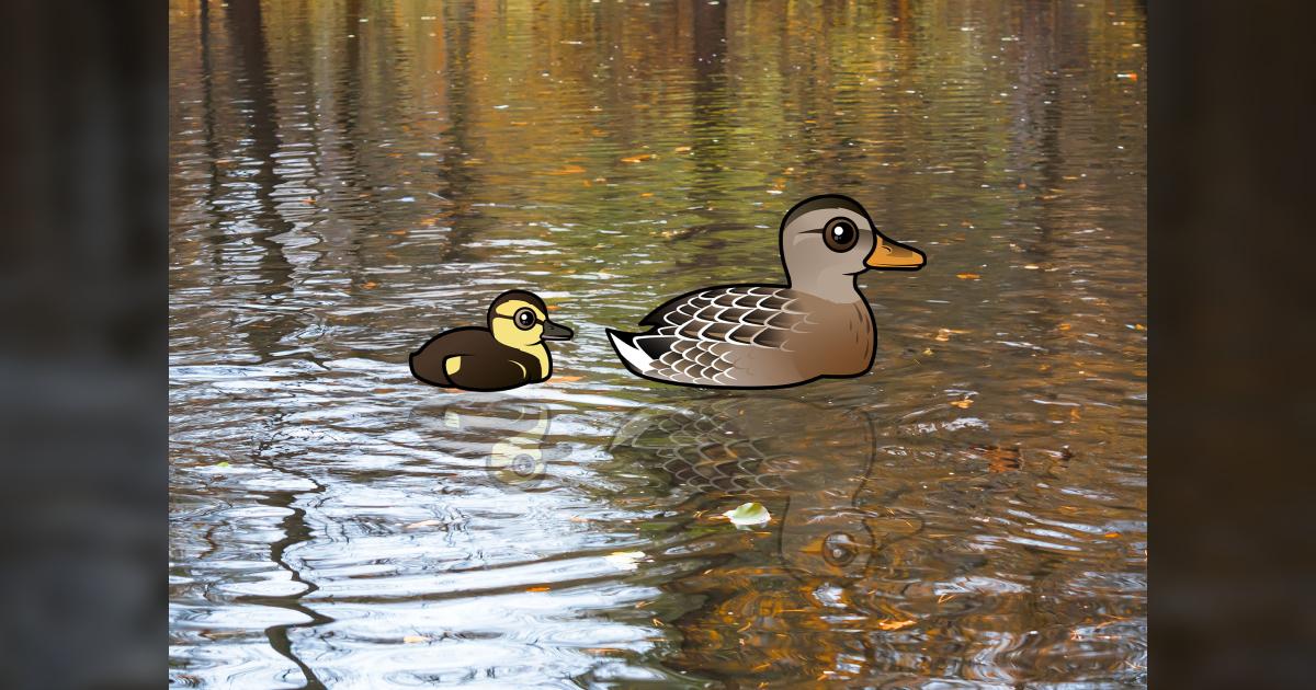 From Eyas to Squab: Special Names for Bird Chicks