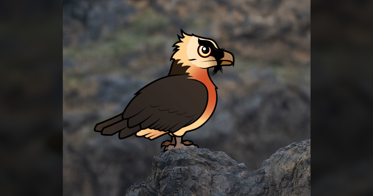 Explore Vulture Nicknames: From Pharoah's Chicken to John Crow