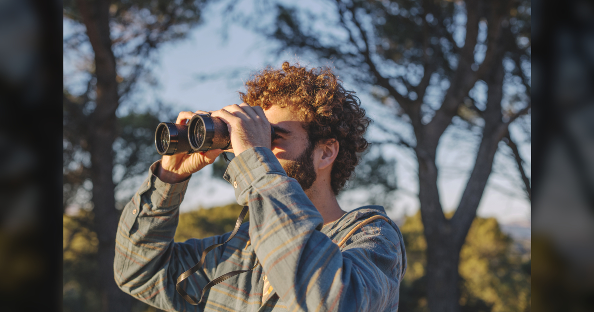 How to Be a Bird Hero: Citizen Science Projects in Australia