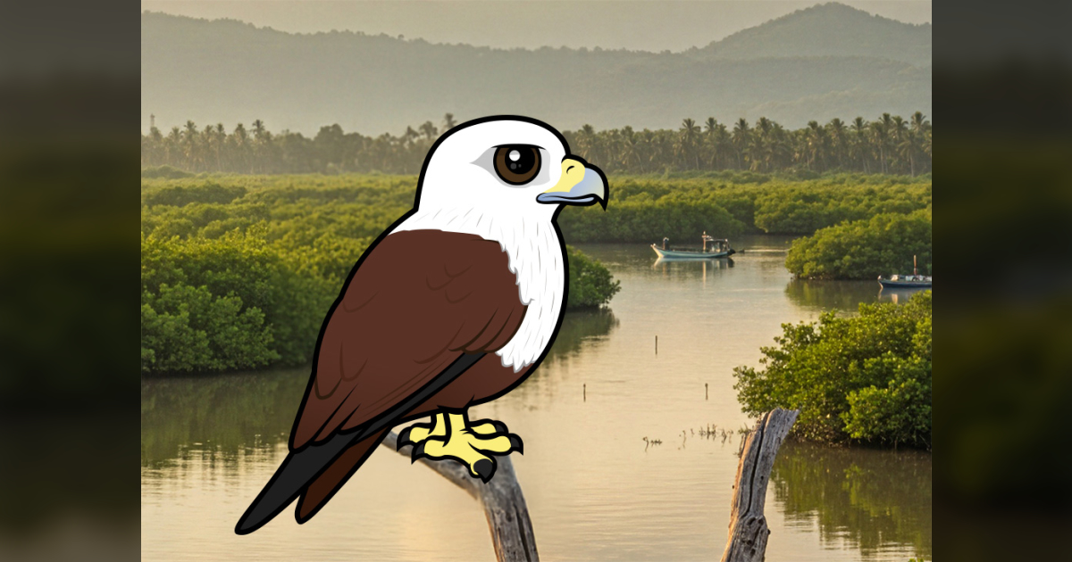 Birdorable Bird Soaring High: Meet the Beautiful Brahminy Kite