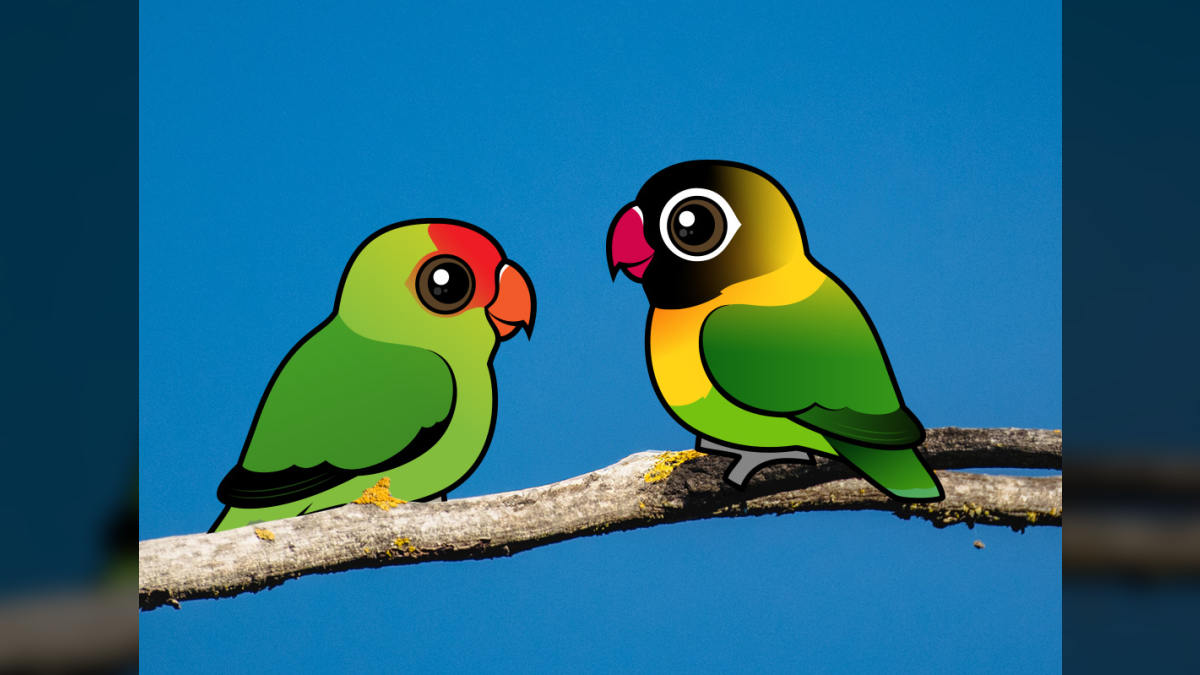 New Birdorable Parrots and Lovebirds