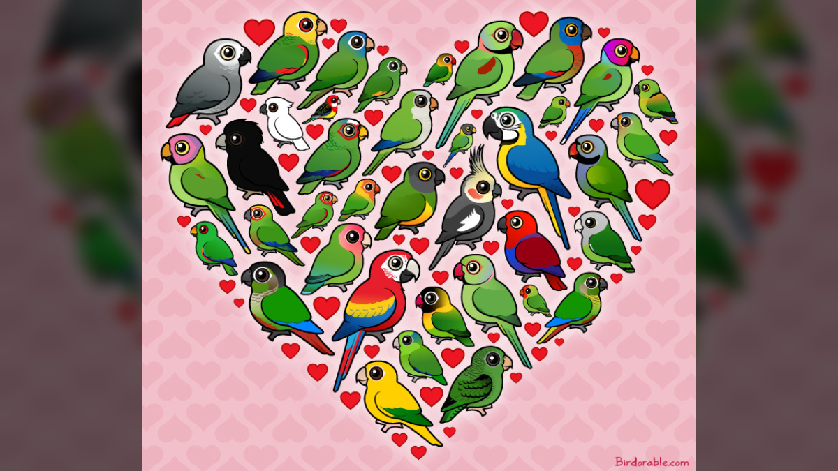 The Perfect Gift for Parrot Lovers: A Birdorable Heart of Parrots