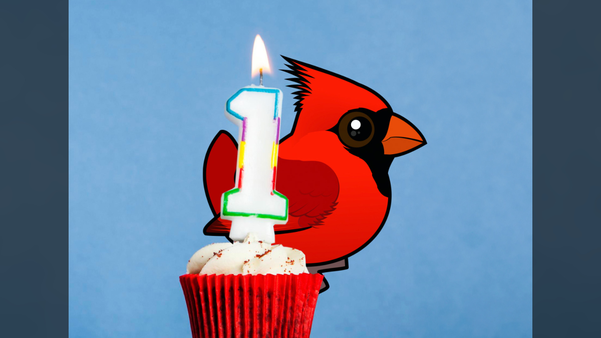 Birdorable Turns One