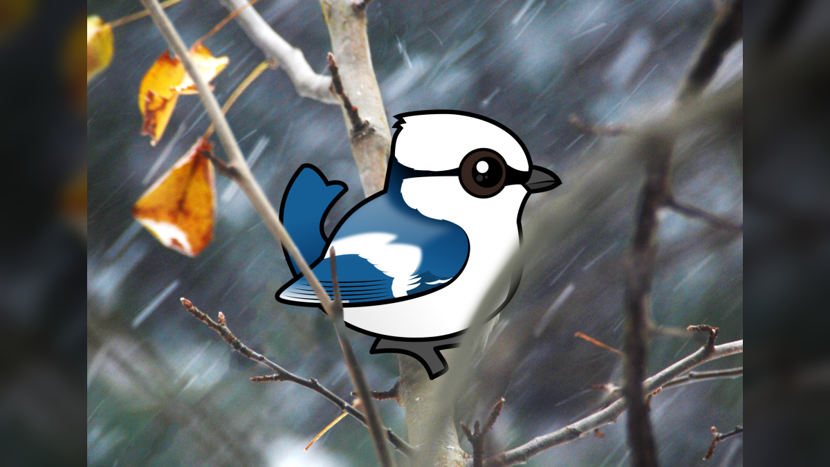 Getting to Know the Azure Tit: A Resident Bird of Eurasia