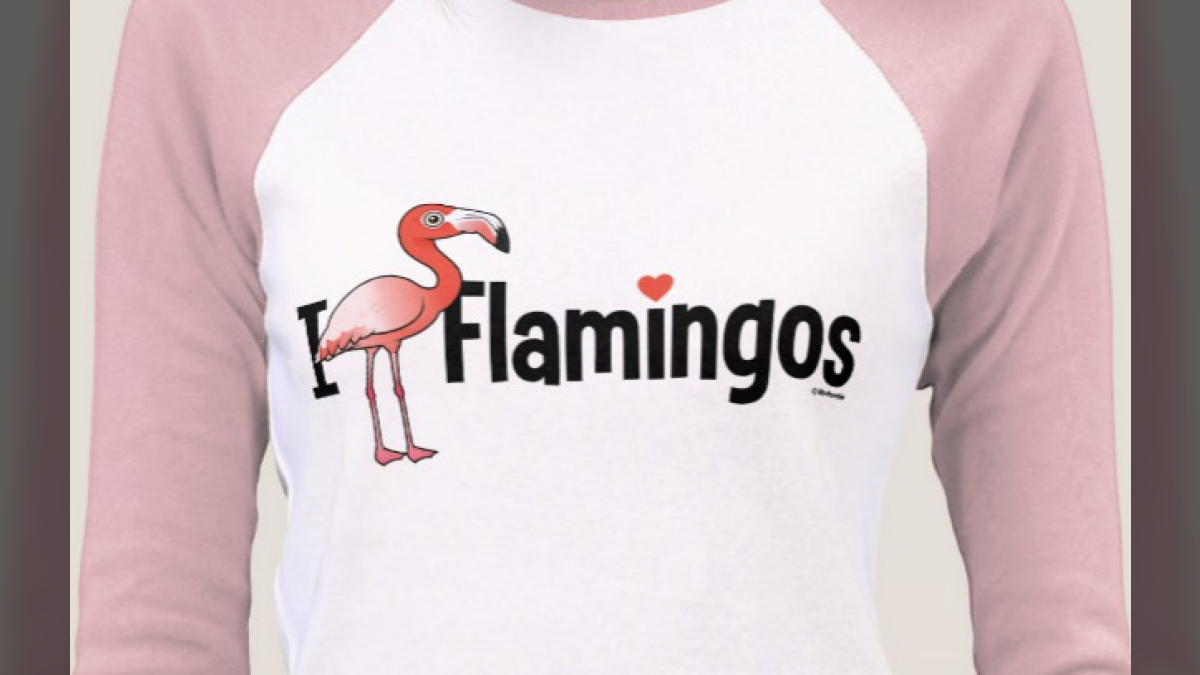 Featured Cute Birdorable Flamingo T-Shirts & Gifts