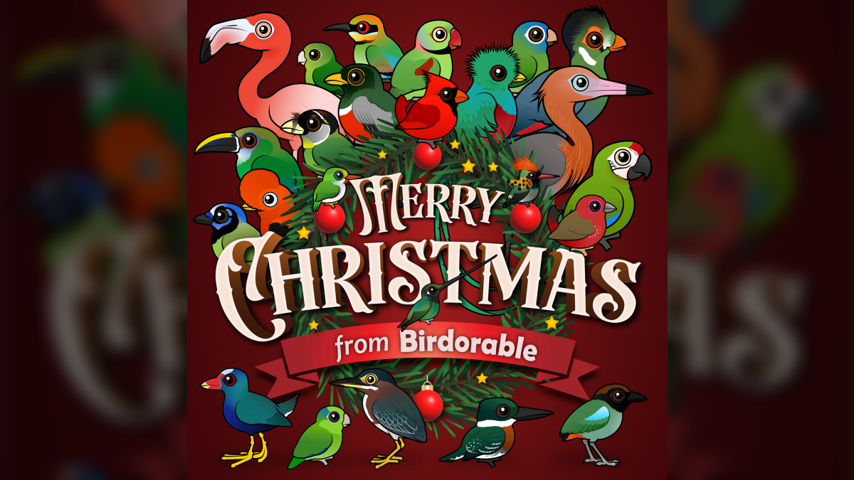 Wishing You a Merry and Bird-Filled Christmas from Birdorable
