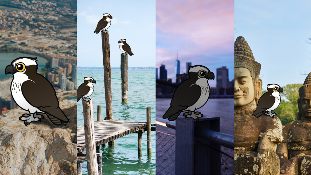 Exploring the Meaning of "Cosmopolitan" in the Avian World