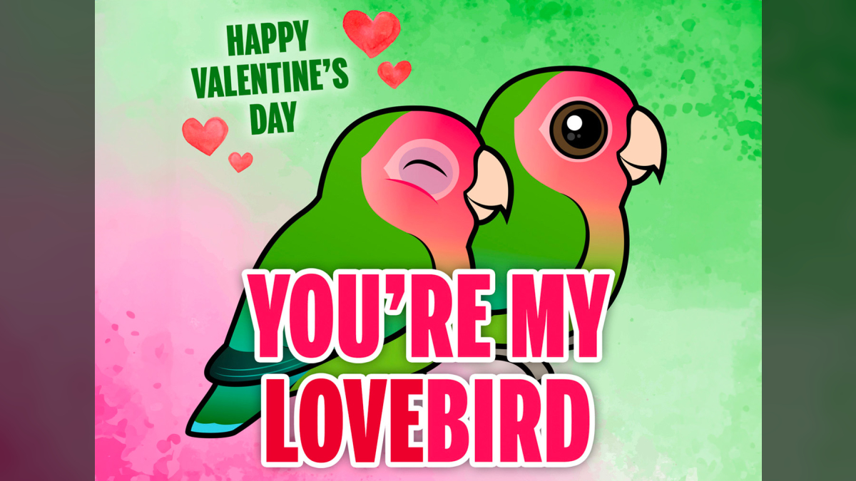 Share the Love: Birdorable Valentine's Day Shareable Graphics