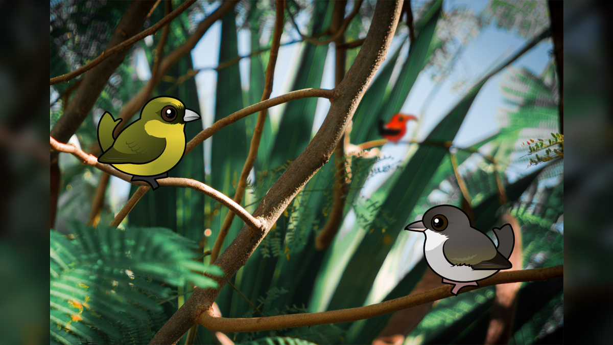 Saving Hawaiian Birds: Innovative Mosquito Control Efforts