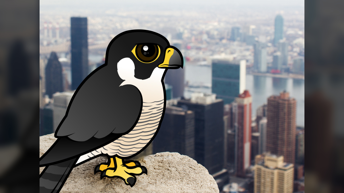 Urban Jungles: How Birds Thrive in City Settings