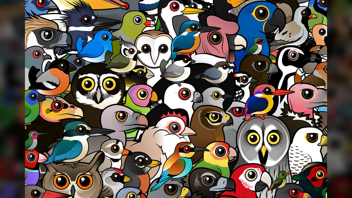 How Many Bird Species Are There? It’s More Than You Think!