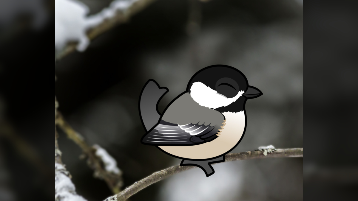 How Birds Survive Winter: Torpor, Hibernation, and Migration