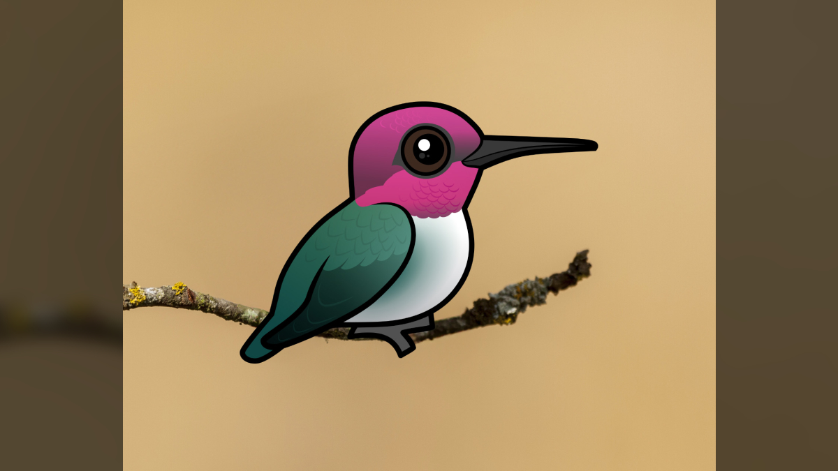 10 Fun Bird Facts You’ll Want to Tell Everyone