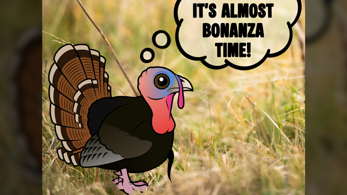 Birdorable Bonanza 2025 Introduction: 10 New Birds Coming Soon