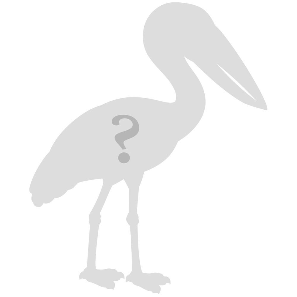 Birdorable Blog - Bird News, New Species & Fun Stuff