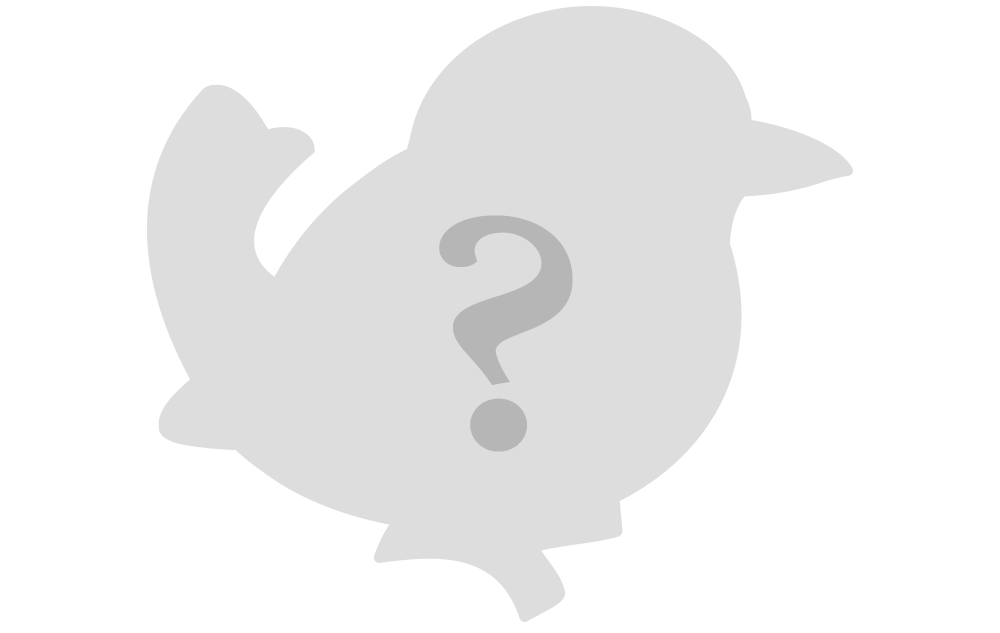 Birdorable Blog - Bird News, New Species & Fun Stuff