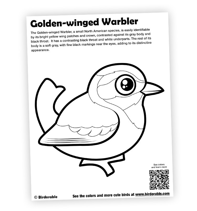 Golden-winged Warbler Named ABA Bird of 2024 | Birdorable Blog