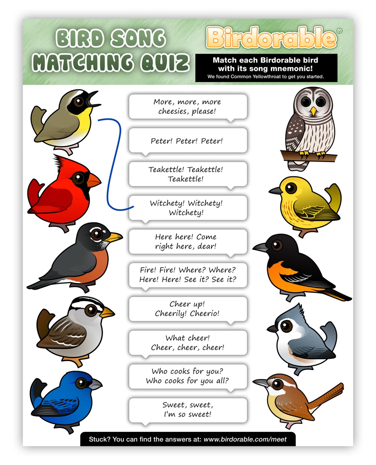 Bird Song Matching Quiz