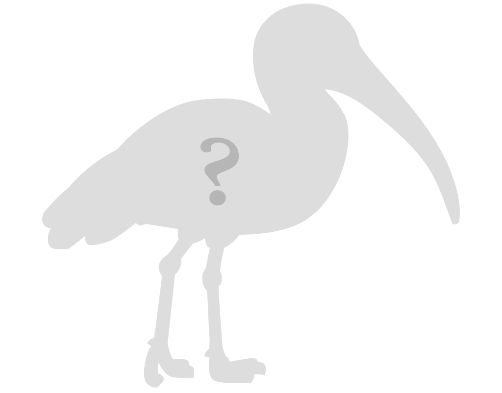 Birdorable Blog - Bird News, New Species & Fun Stuff