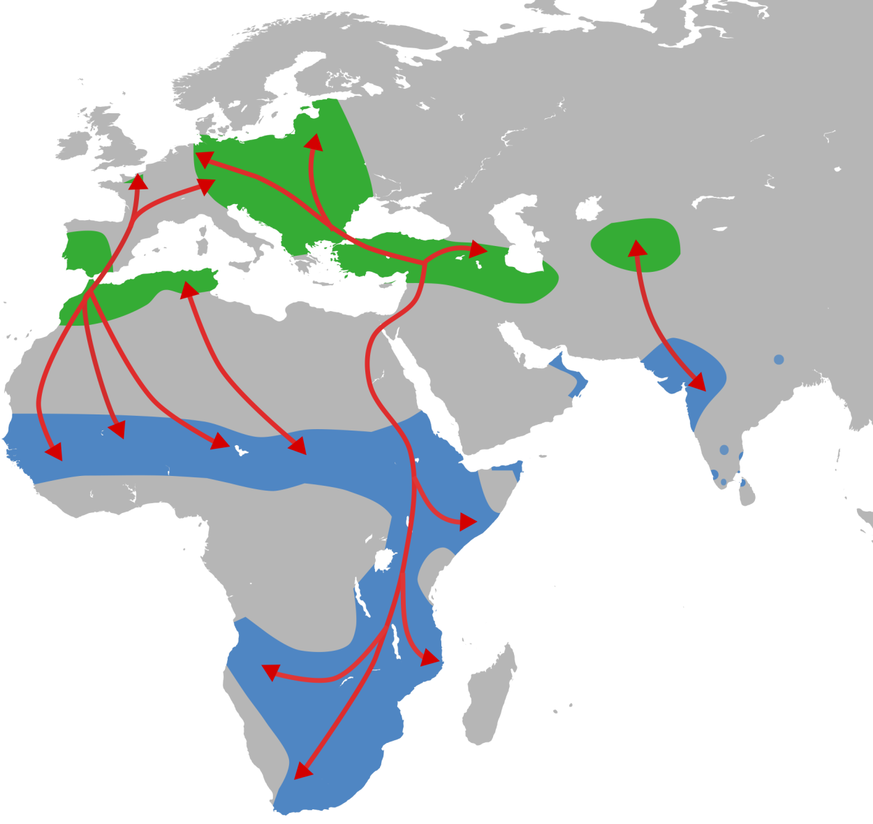 Welcome the Birdorable White Stork: Iconic Bird of the Old World