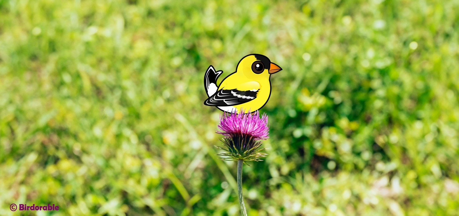 Birdorable Summer Bucket List: Where to Find 10 Must-See Birds