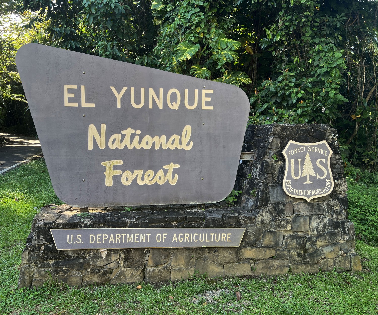 Birding in Paradise: 6 Must-Visit Spots to See Puerto Rico’s Birds