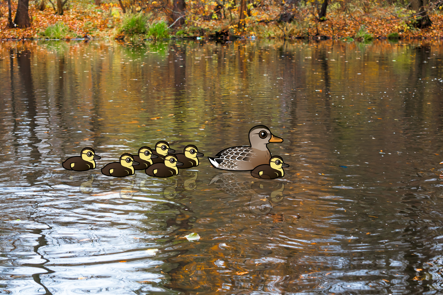 From Eyas to Squab: Special Names for Bird Chicks