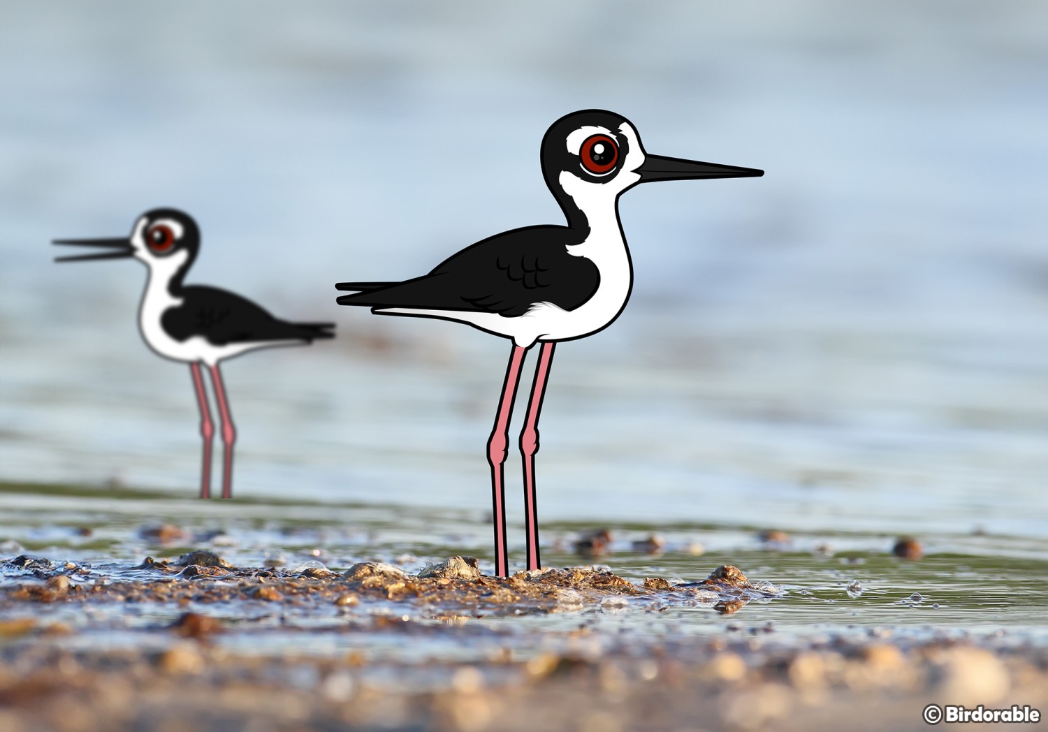 Stilt Species Spotlight: Learn About the World's 6 Stilts