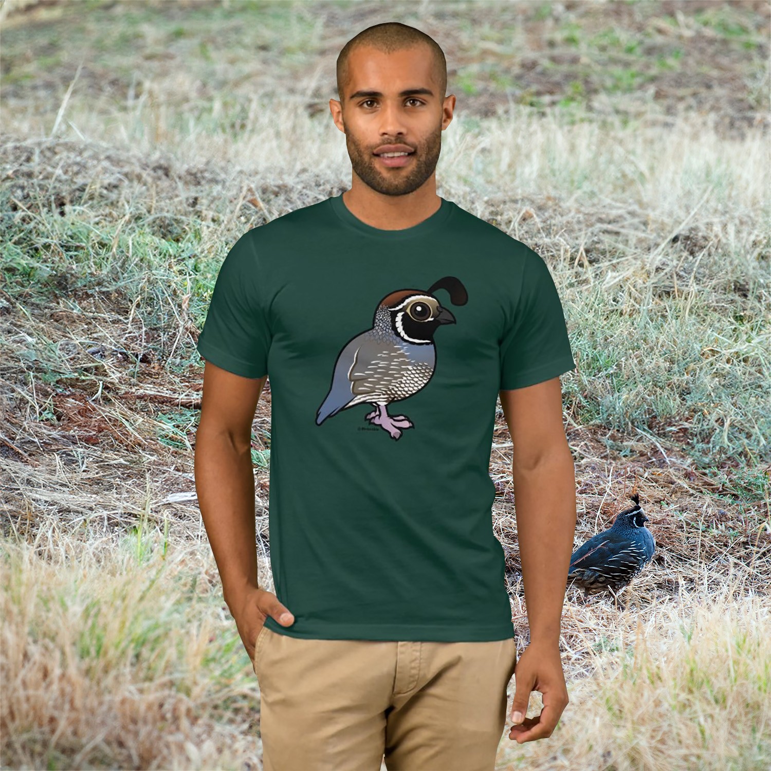 Cute California Quail T-Shirt by Birdorable