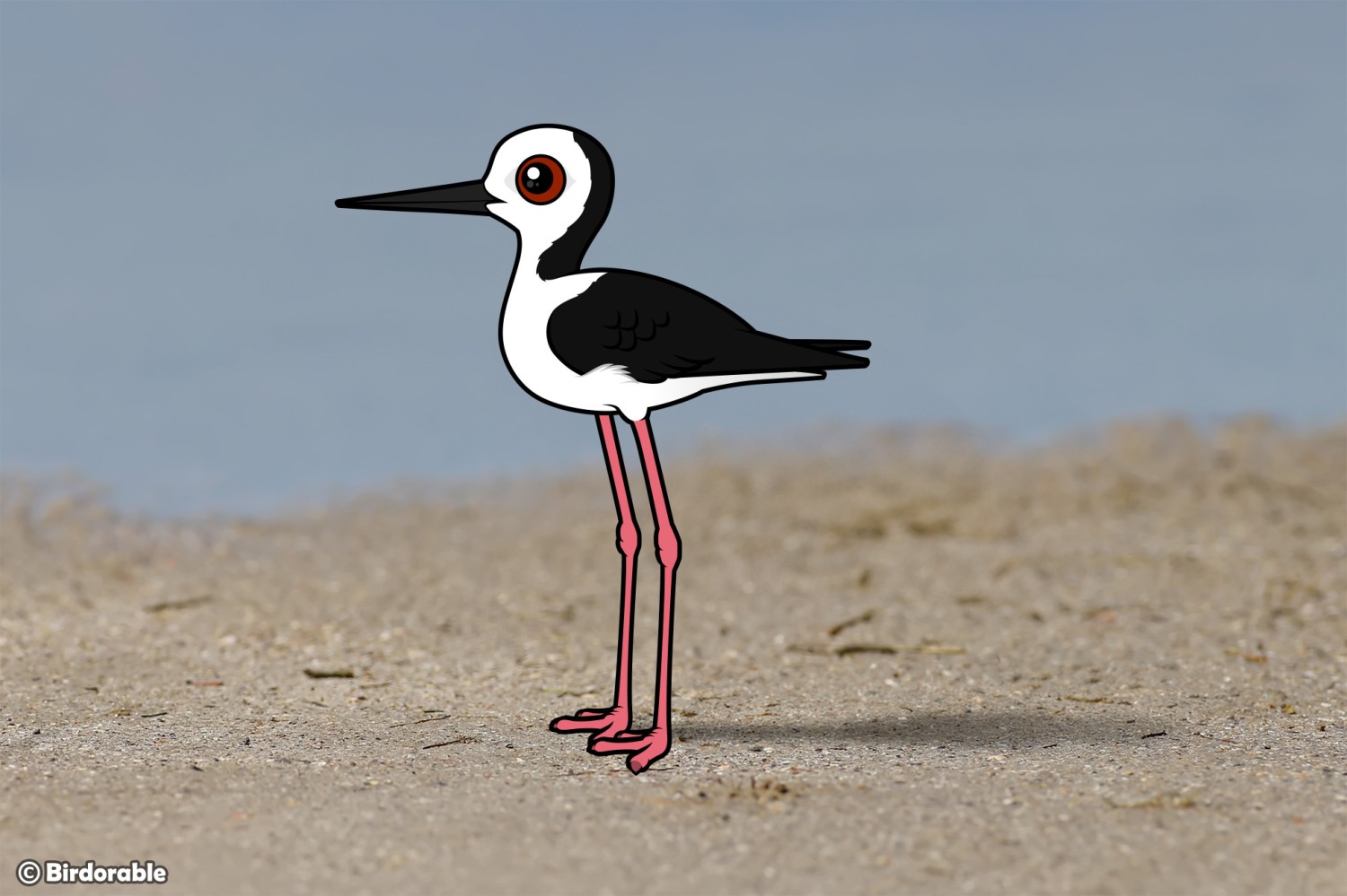 Stilt Species Spotlight: Learn About the World's 6 Stilts