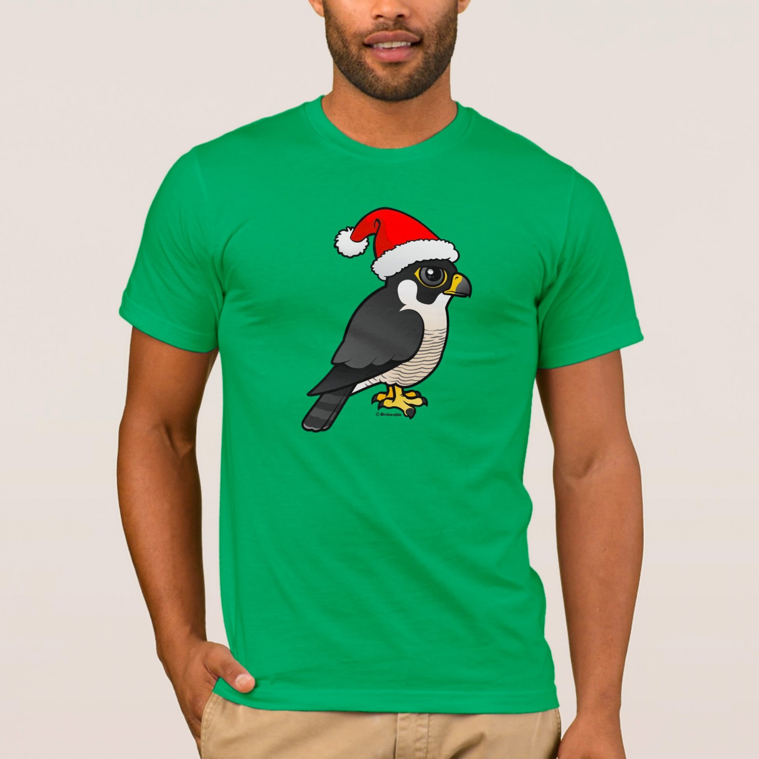 Peregrine Falcon in a Santa Hat: Ultimate Bird Lover's Holiday Gift