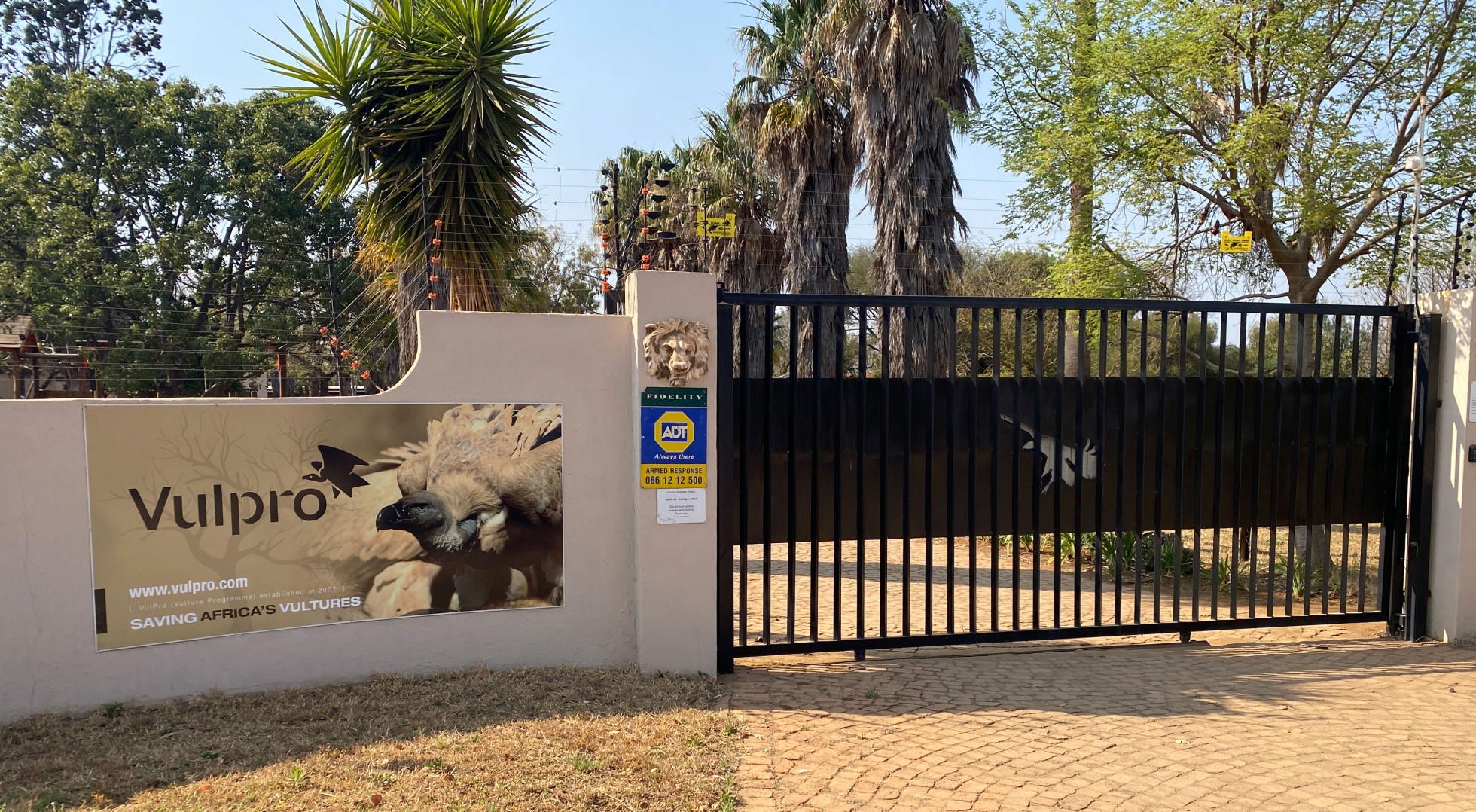 Birdorable Blog - Bird News, New Species & Fun Stuff