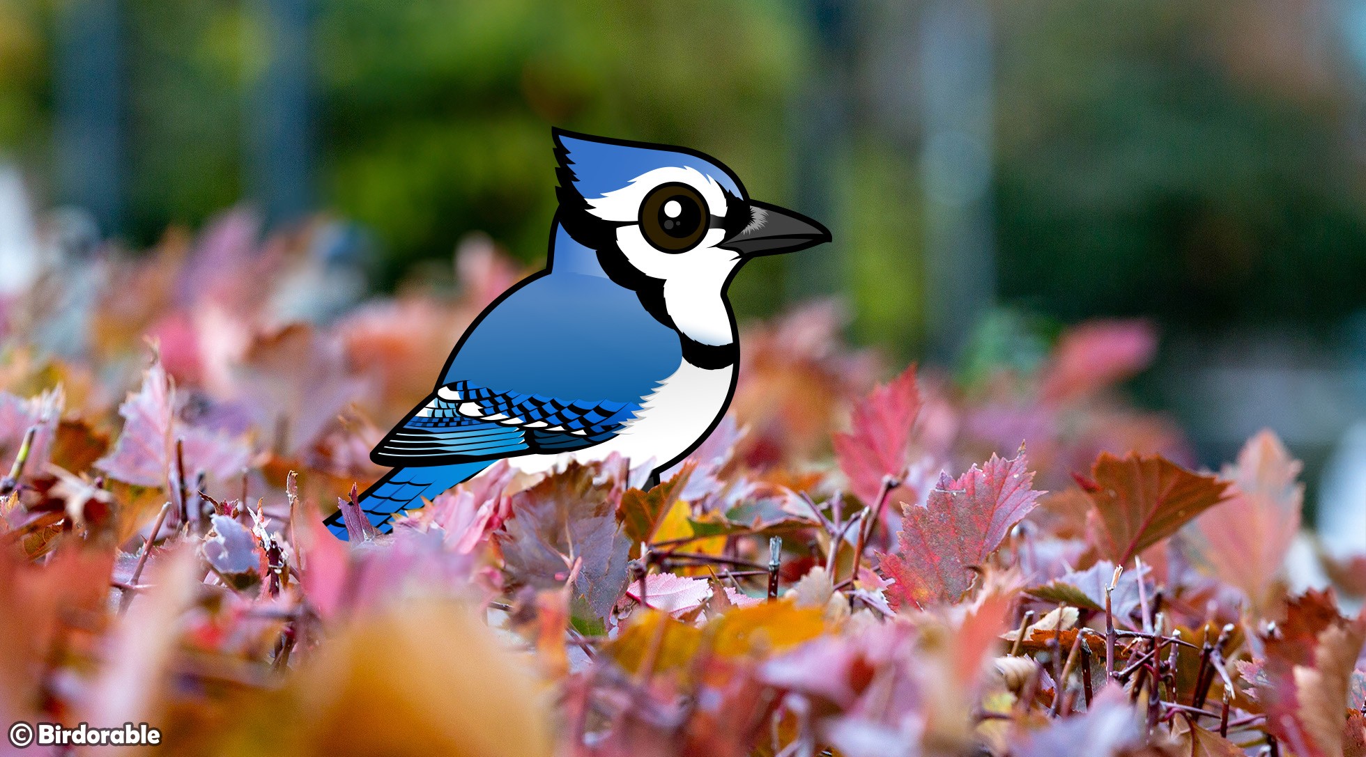 Birds and Autumn: Feeding, Sheltering, and Surviving in Fall