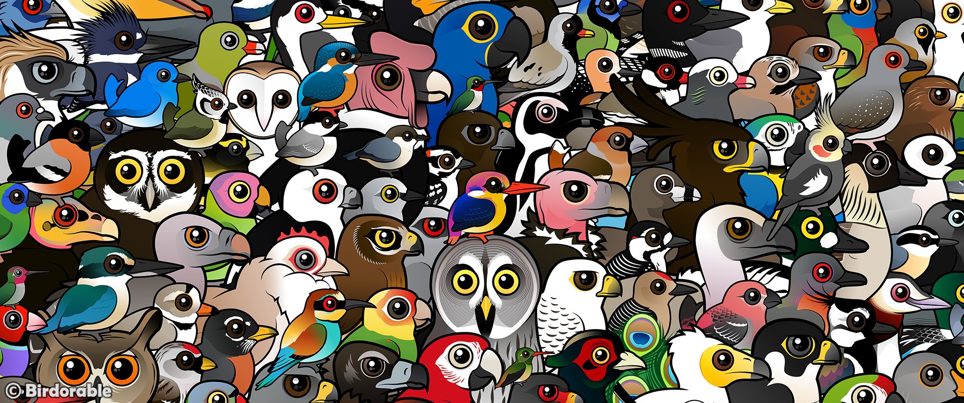 How Many Bird Species Are There? It’s More Than You Think!