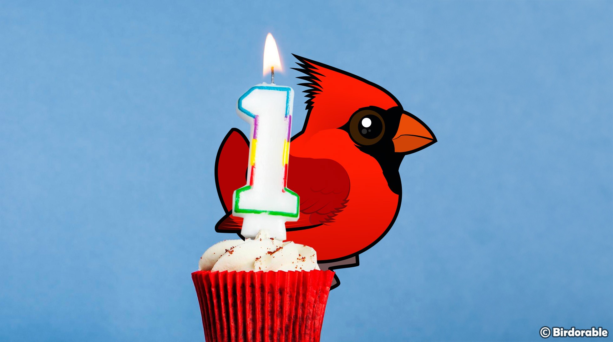Birdorable Turns One