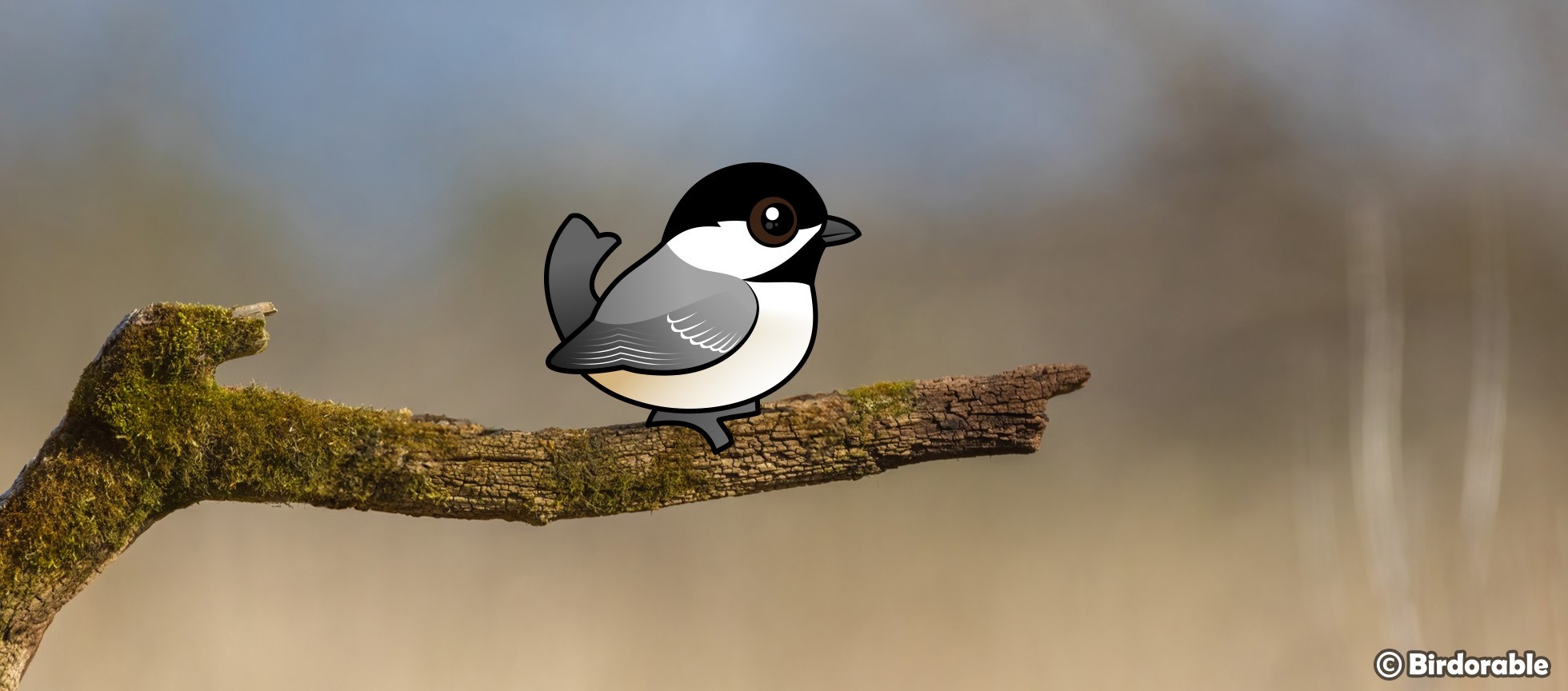 List of Fun Facts About Chickadees by Birdorable